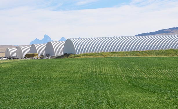 Bench Mark Potato Company - Rexburg Online