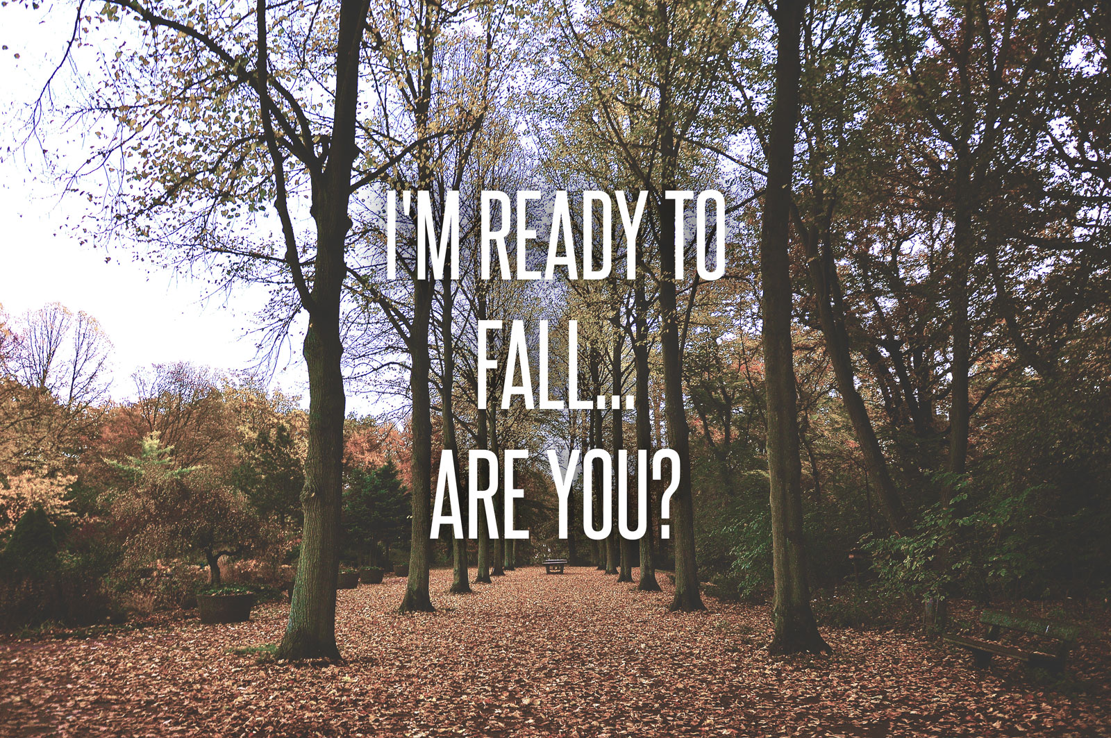 I'm Ready to Fall...Are you? - Rexburg Online